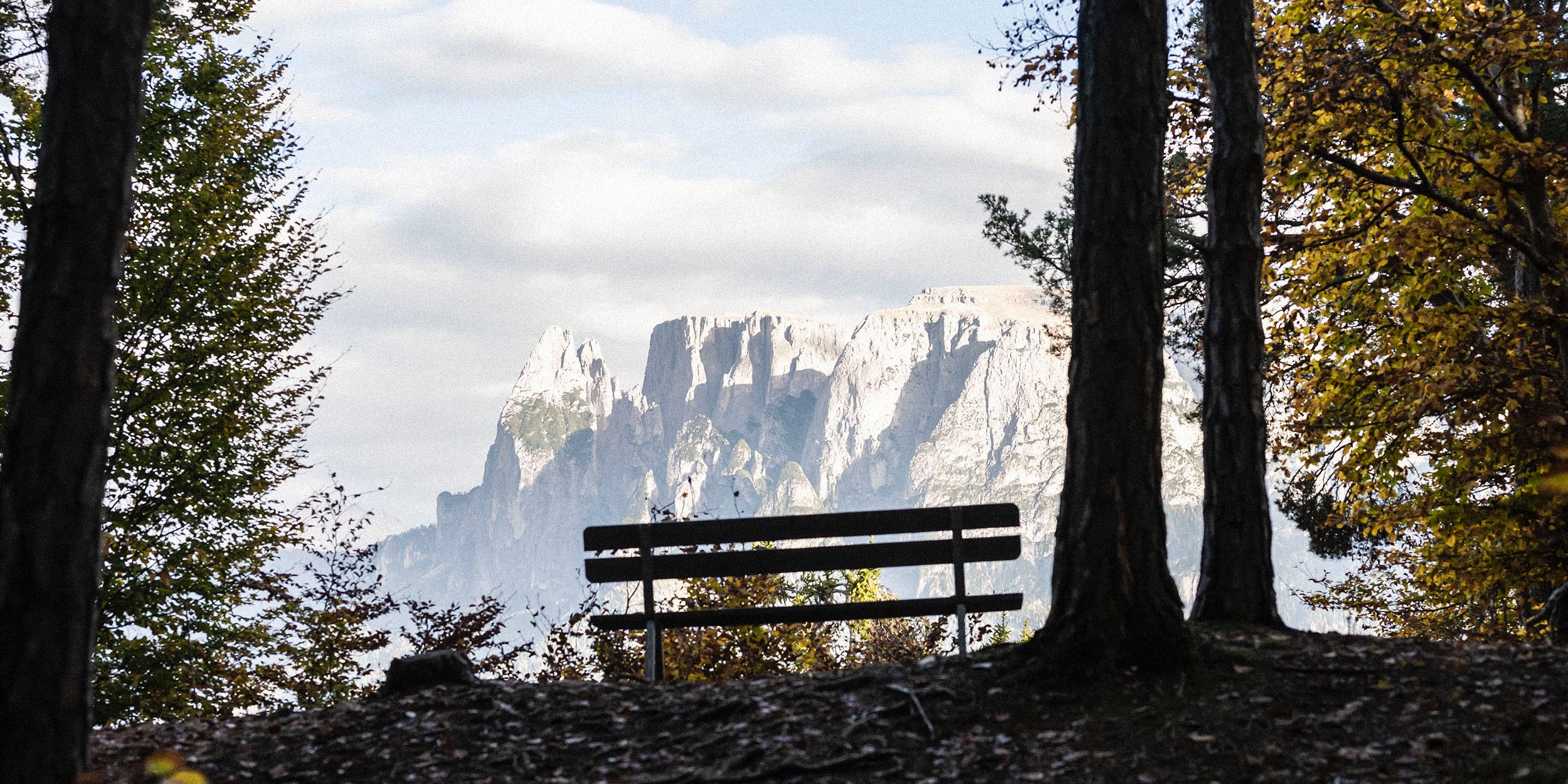 Sustainability - Living in harmony with nature