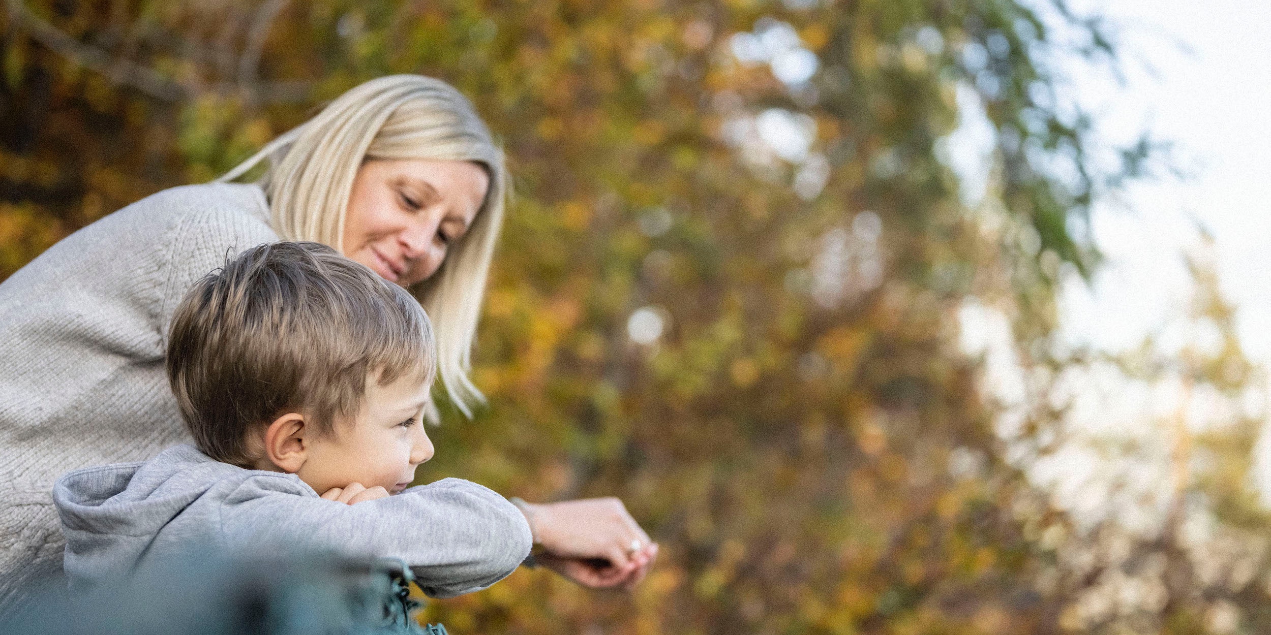 The themed trails on the Ritten - Ritten, sunny highplateau near Bolzano