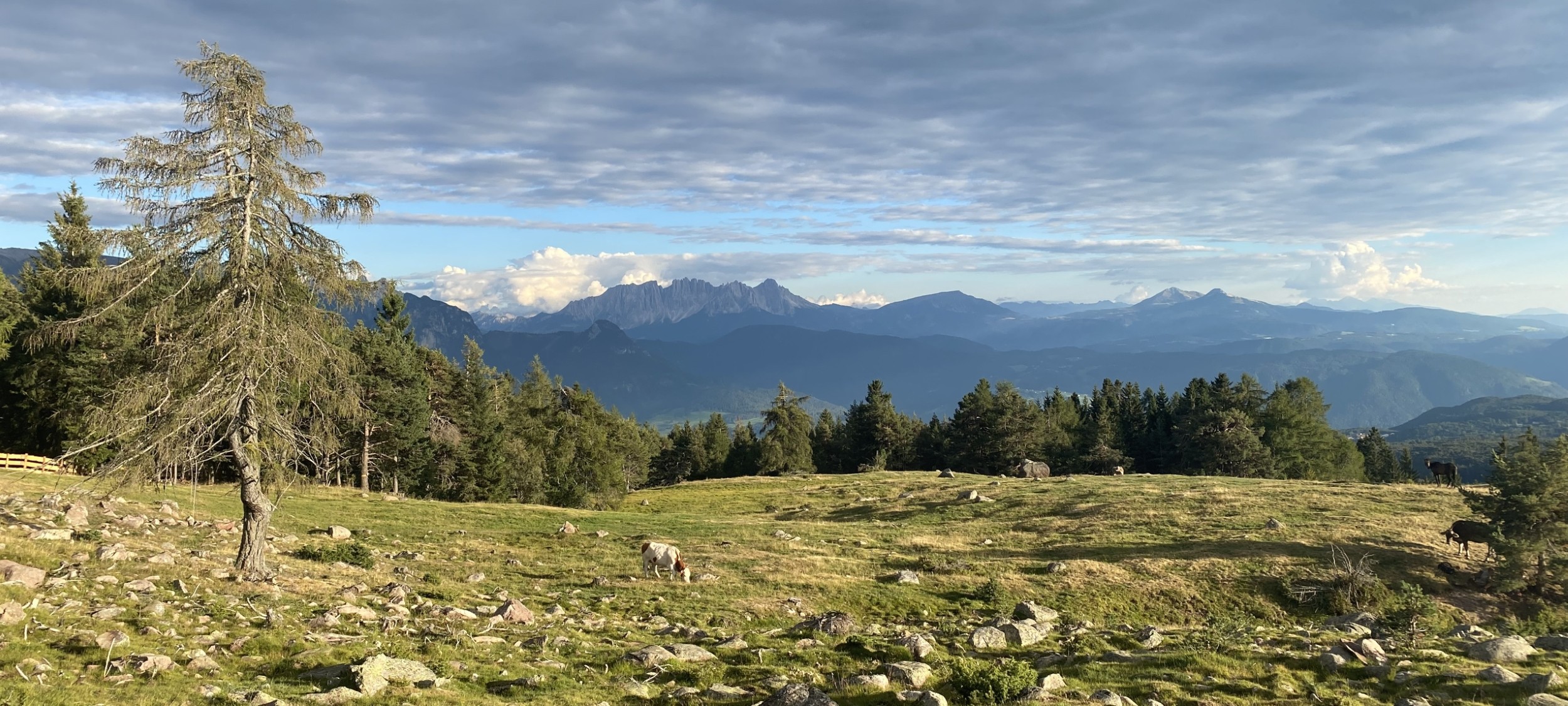 Ritten, Südtirol bei Bozen - Ritten, das Sonnenplateau bei Bozen