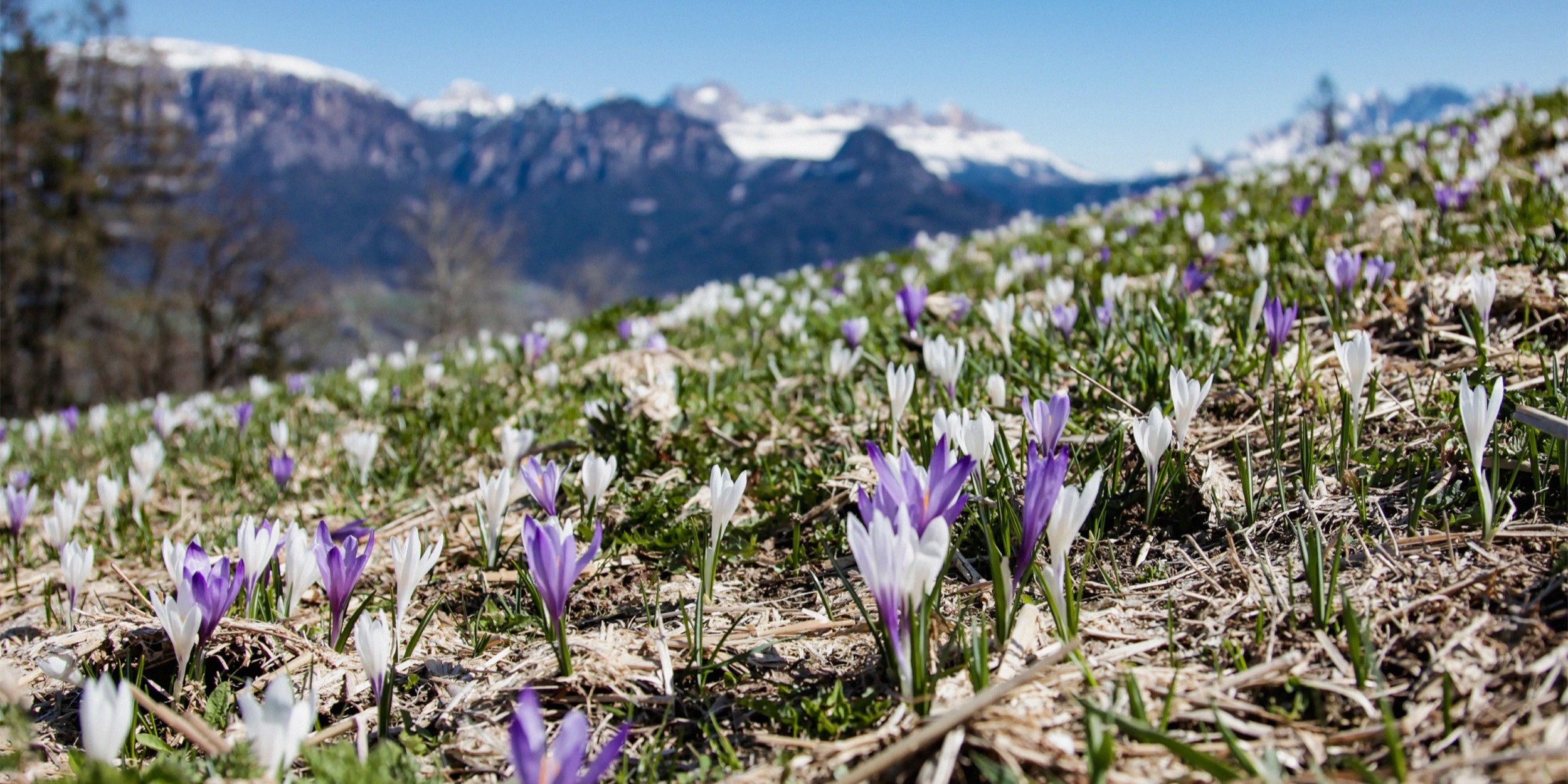 Urlaub in Südtirol, Ritten bei Bozen - Wandern, Familie, Unterkünfte ...