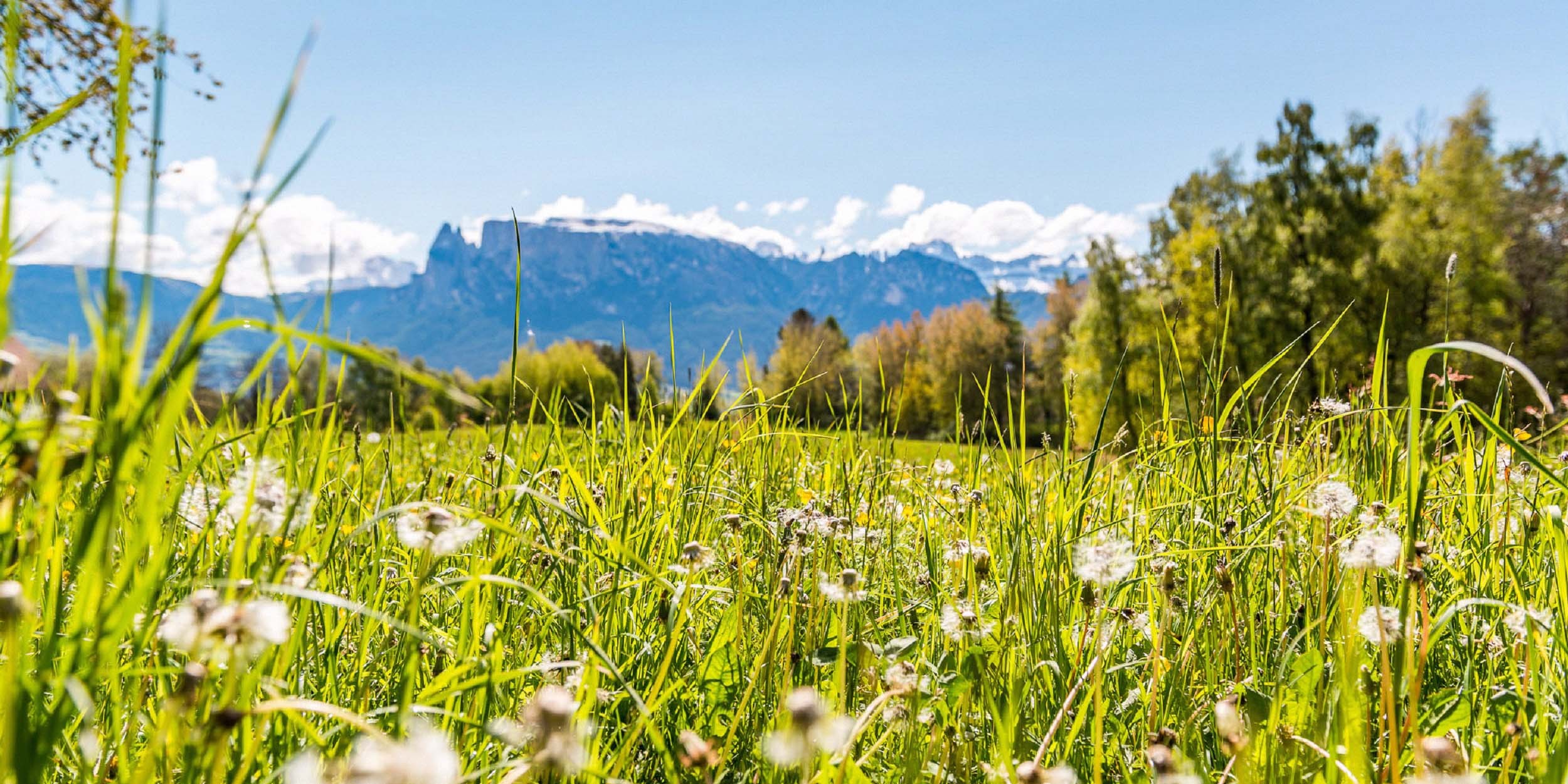Unvergesslicher Urlaub am Sonnenplateau Ritten in Südtirol