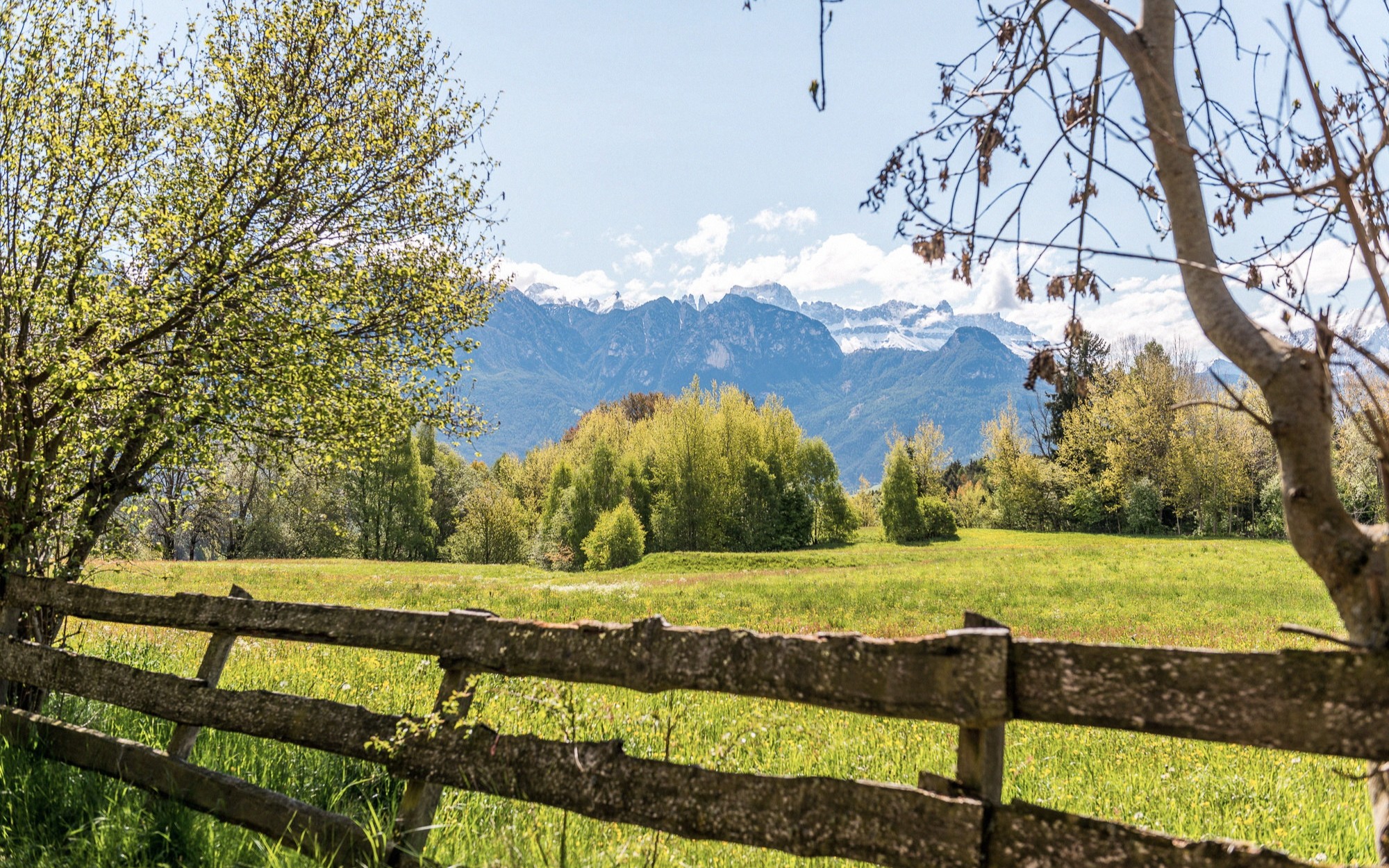 Die Themenwege am Ritten - Ritten, das Sonnenplateau bei Bozen